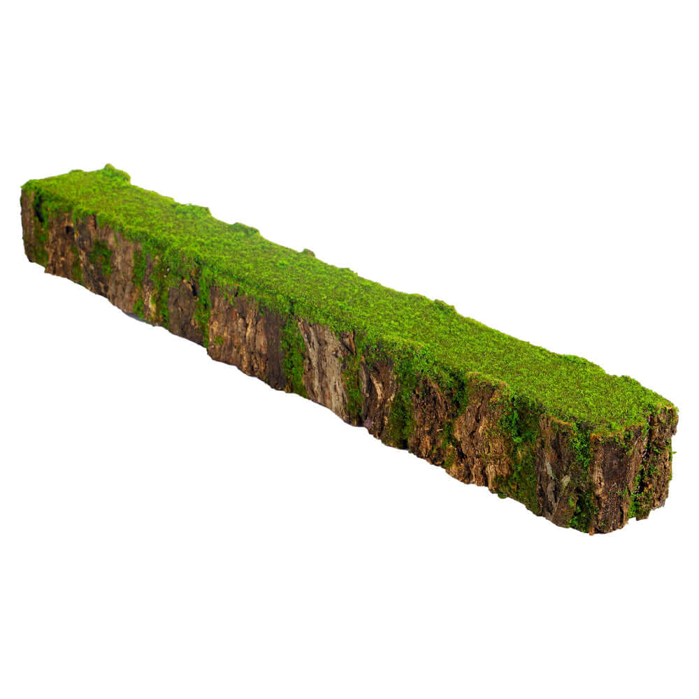 Decorative Rectangular Mossy Tree Stump | Garden Dubai
